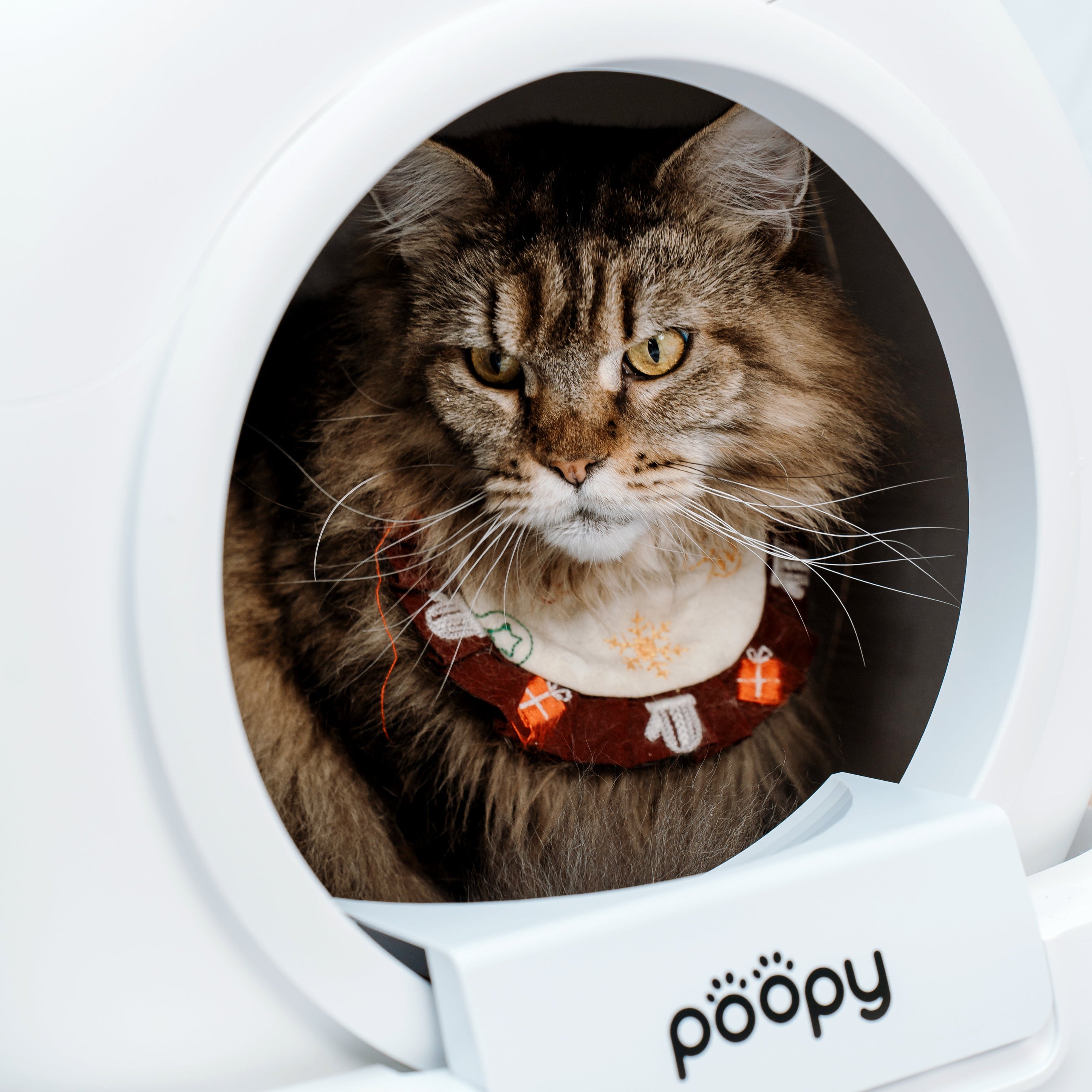 Poopy Nano 2 - Zelfreinigende Kattenbak