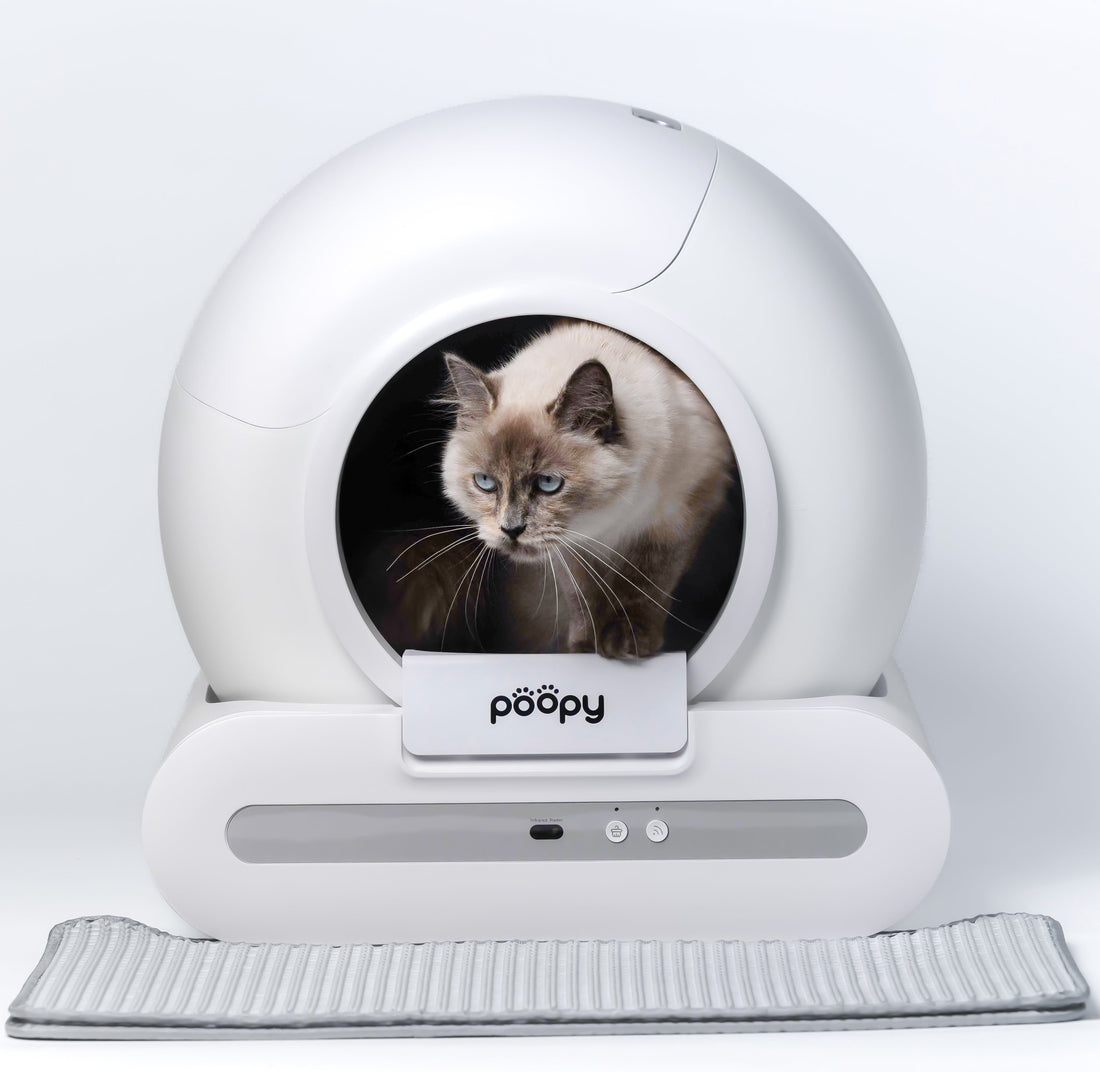 Poopy Nano 2 - Zelfreinigende Kattenbak