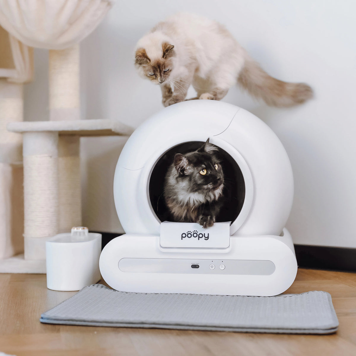 Poopy Nano 2 - Zelfreinigende Kattenbak